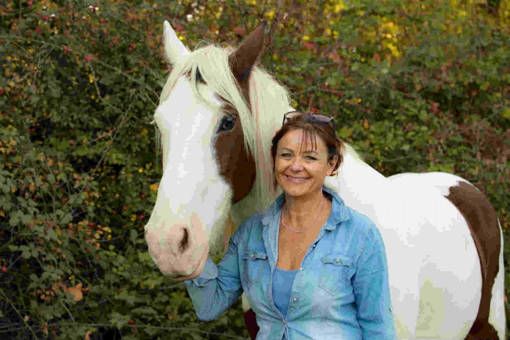 Le cheval pie : cheval qui a déjà 3000 ans ! – Développement Personnel ...